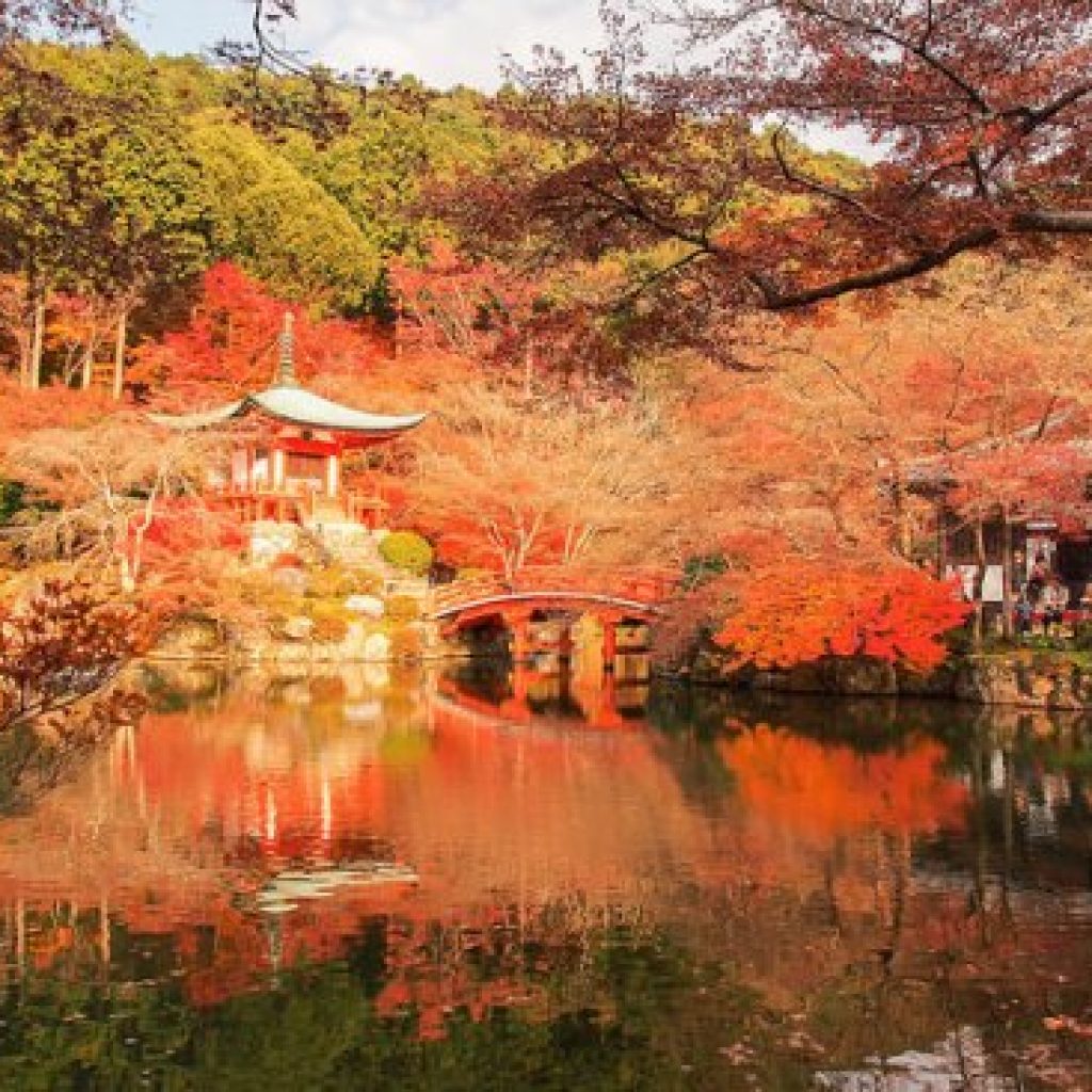 Kuil Daigoji Kyoto - Info Liburan dan Wisata di Jepang