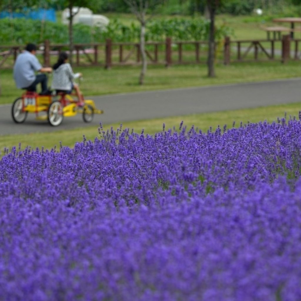 Taman Bermain Sapporo Satoland - Info Wisata dan Liburan di Jepang