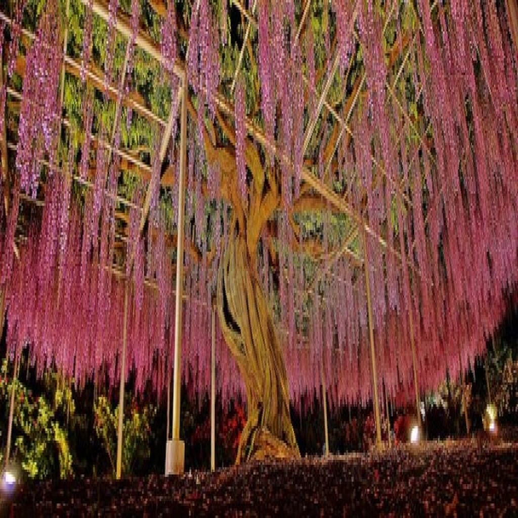Taman Ashikaga - Info Liburan dan Wisata di Jepang