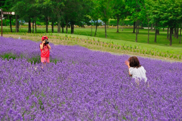 Taman Bermain Sapporo Satoland - Info Wisata dan Liburan di Jepang