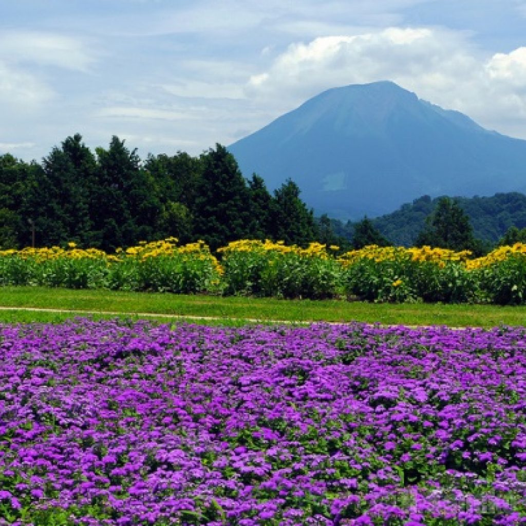 Kebun Bunga Tottori Hanakairo - Info Wisata dan Liburan di Jepang