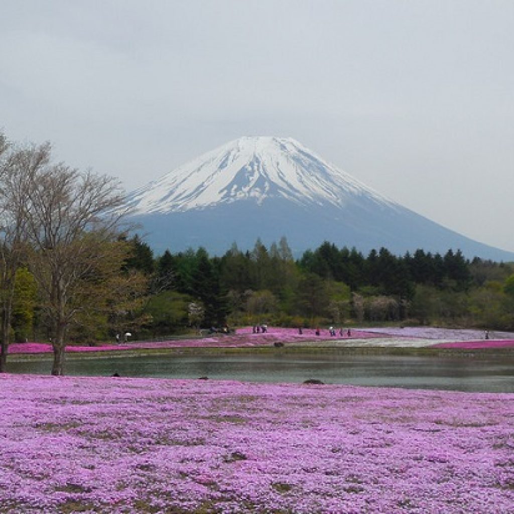 Tips Pergi ke Gunung Fuji - Info Liburan dan Wisata di Jepang