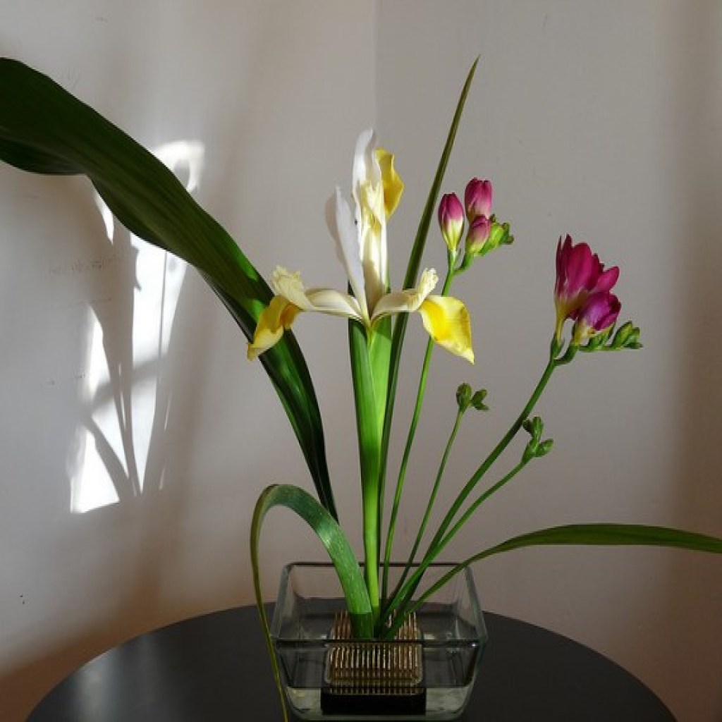 Ikebana Seni Merangkai Bunga Khas Jepang - Info Budaya di Jepang