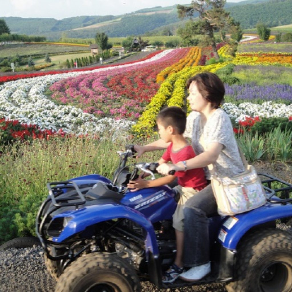 Musim Panas di Hokkaido Jepang - Info Wisata di Jepang