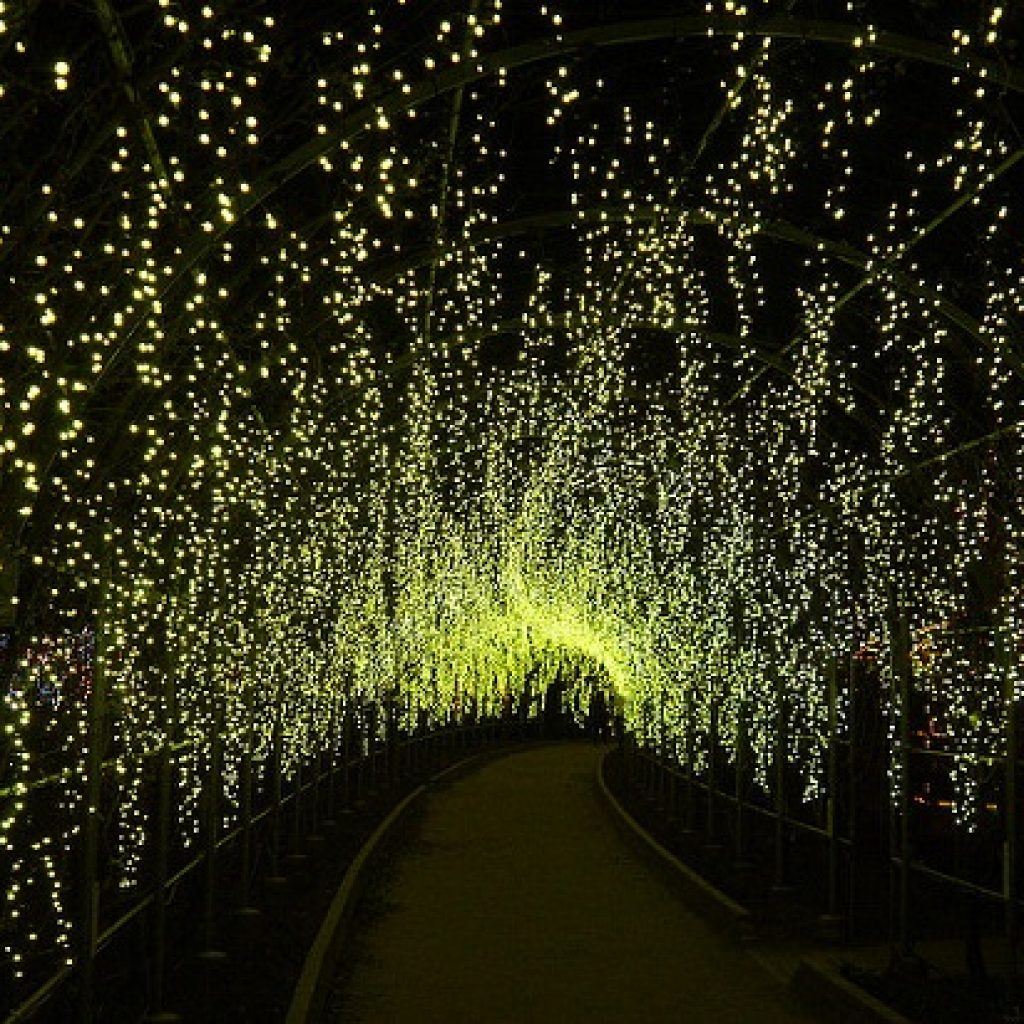 Iluminasi Taman Ashikaga Tochigi - Info Wisata dan Liburan di Jepang