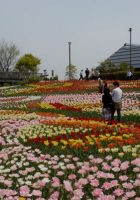 Niigata Furusato Village - Info Wisata dan Liburan di Jepang