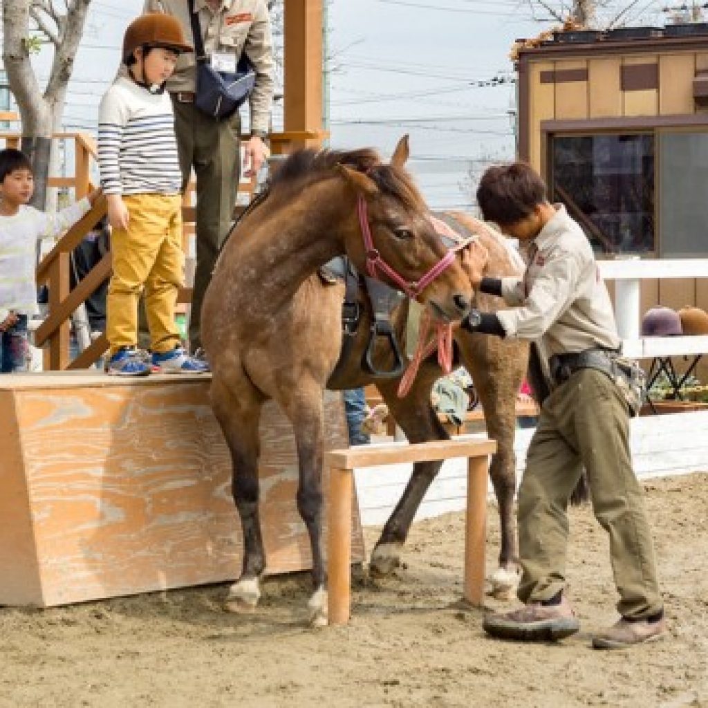 Kobe Animal Kingdom - Info Liburan dan Wisata di Jepang