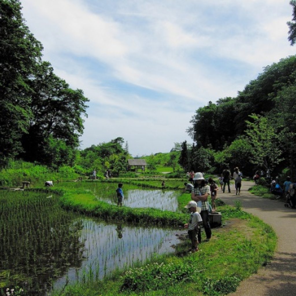 Taman Funabashi Andersen di Chiba - Info Liburan dan Wisata di Jepang