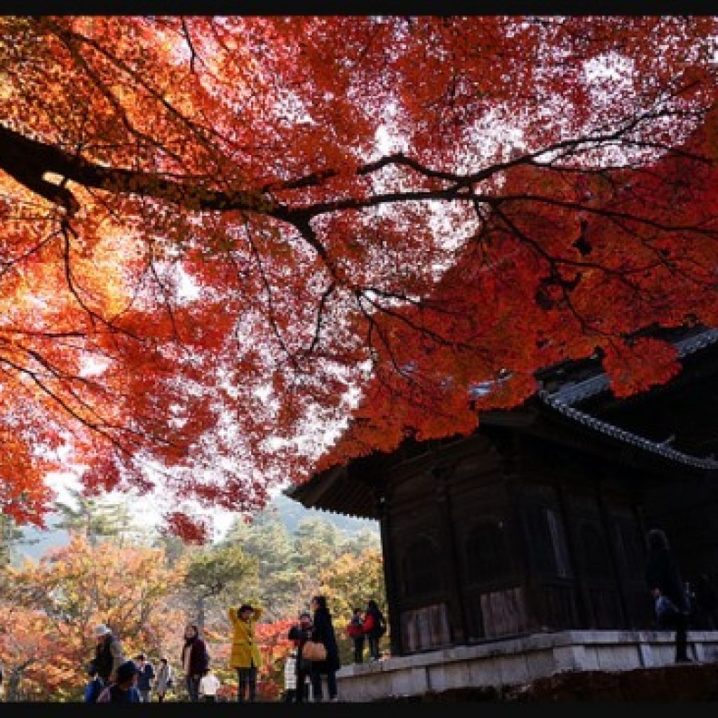 Kuil Nanzenji - Info Liburan dan Wisata di Jepang