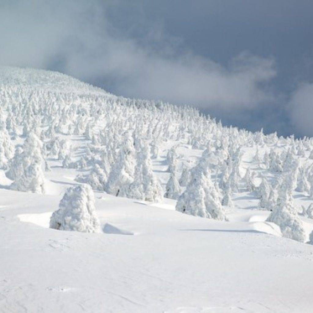 Melihat Monster Salju di Gunung Zao - Info Liburan dan Wisata di Jepang