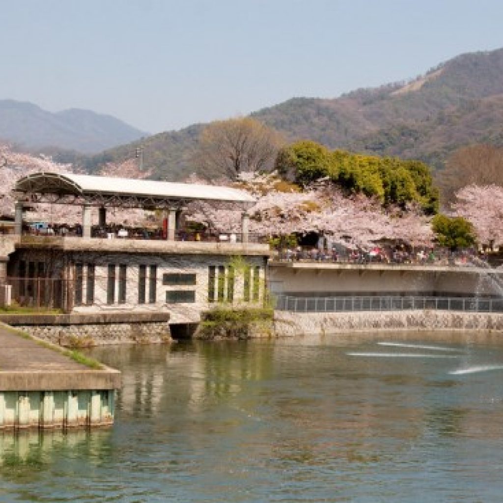 Informasi Lengkap Momiji di Kyoto - Info Wisata dan Liburan di Jepang