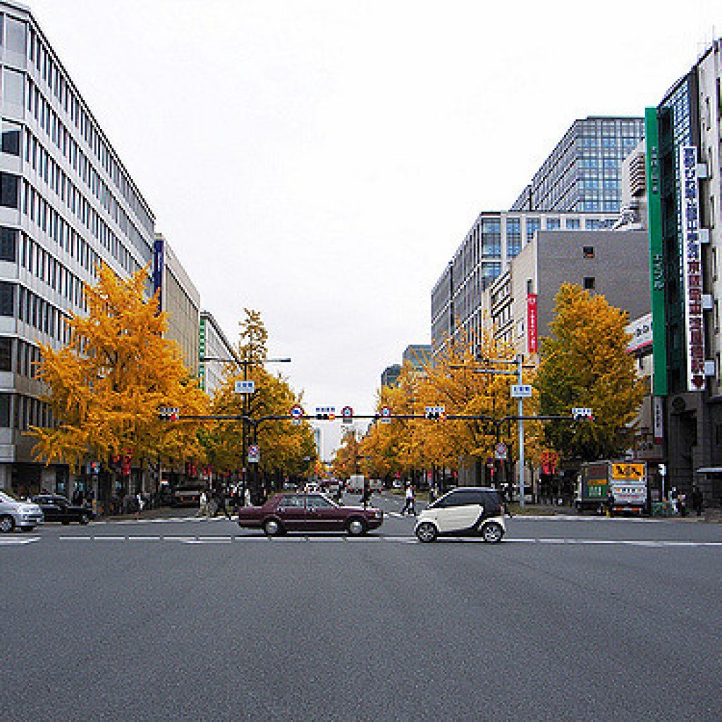 Indahnya Momiji di Osaka - Info Liburan dan Wisata di Jepang
