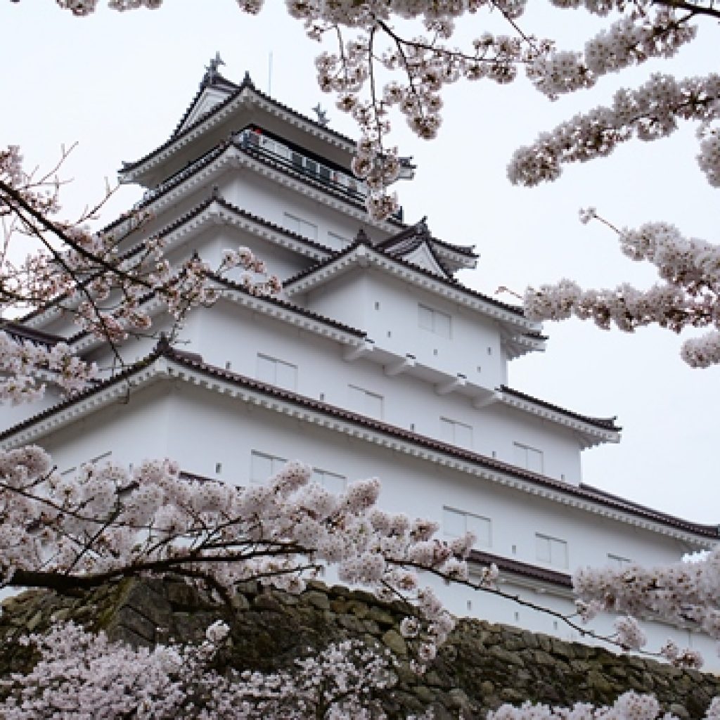 Tsuruga Castle Aizu Wakamatsu - Info Wisata dan Liburan di Jepang