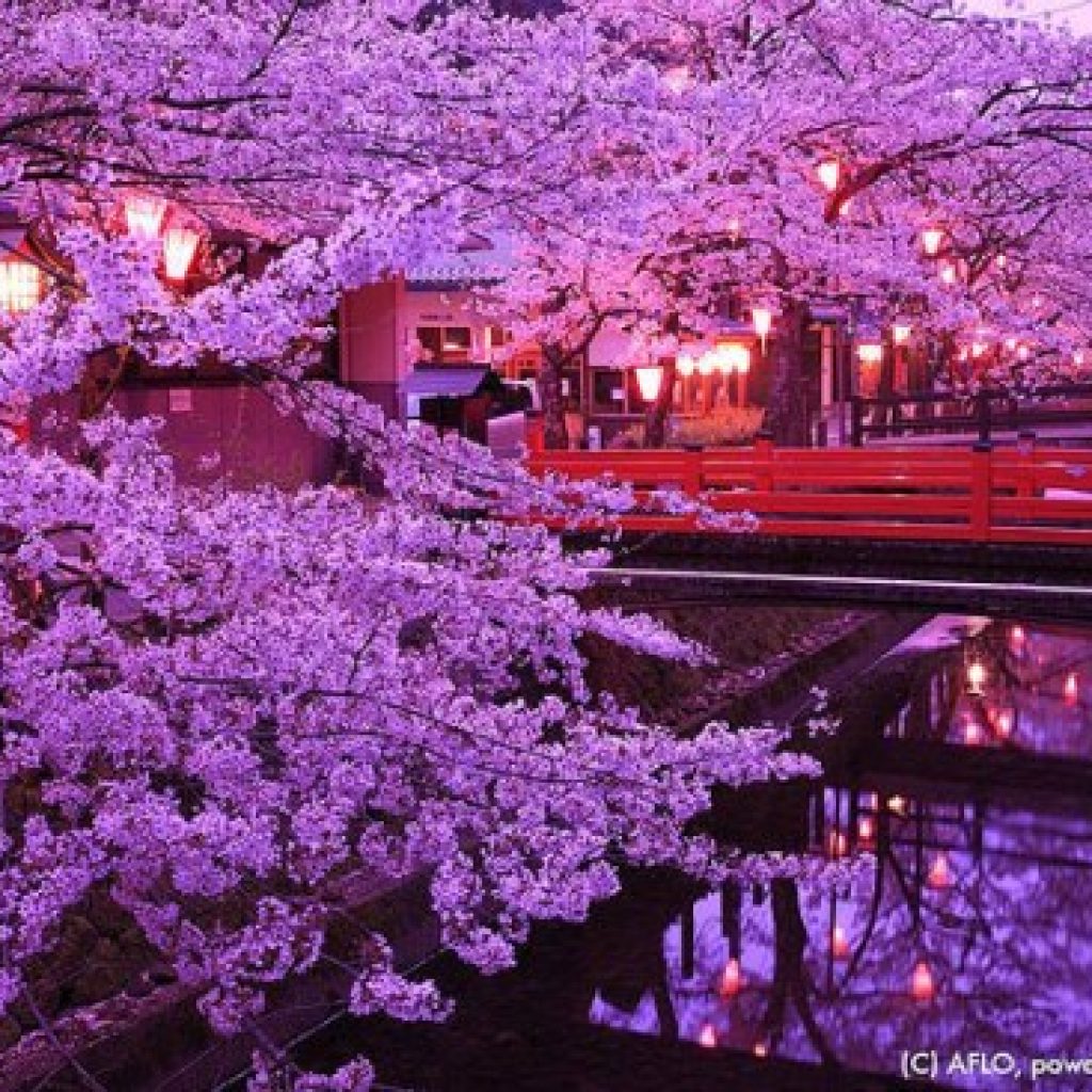 Kinosaki Onsen - Info Liburan dan Wisata di Jepang