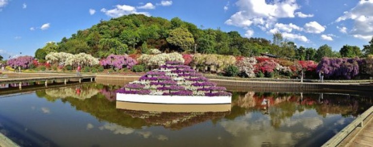 Taman Ashikaga - Info Liburan dan Wisata di Jepang
