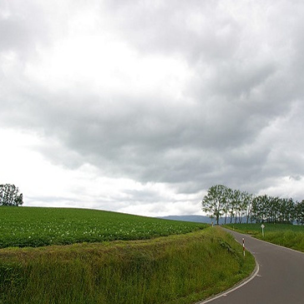 Pemandangan Bukit Biei Hokkaido - Info Wisata di Jepang