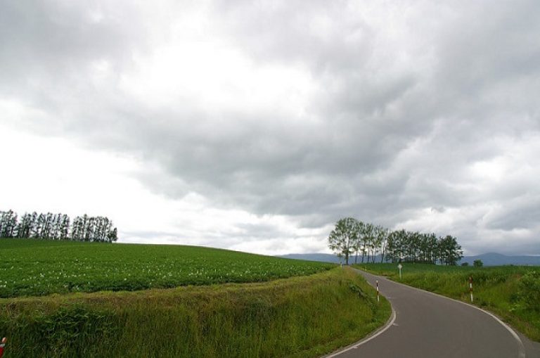 Pemandangan Bukit Biei Hokkaido - Info Wisata di Jepang