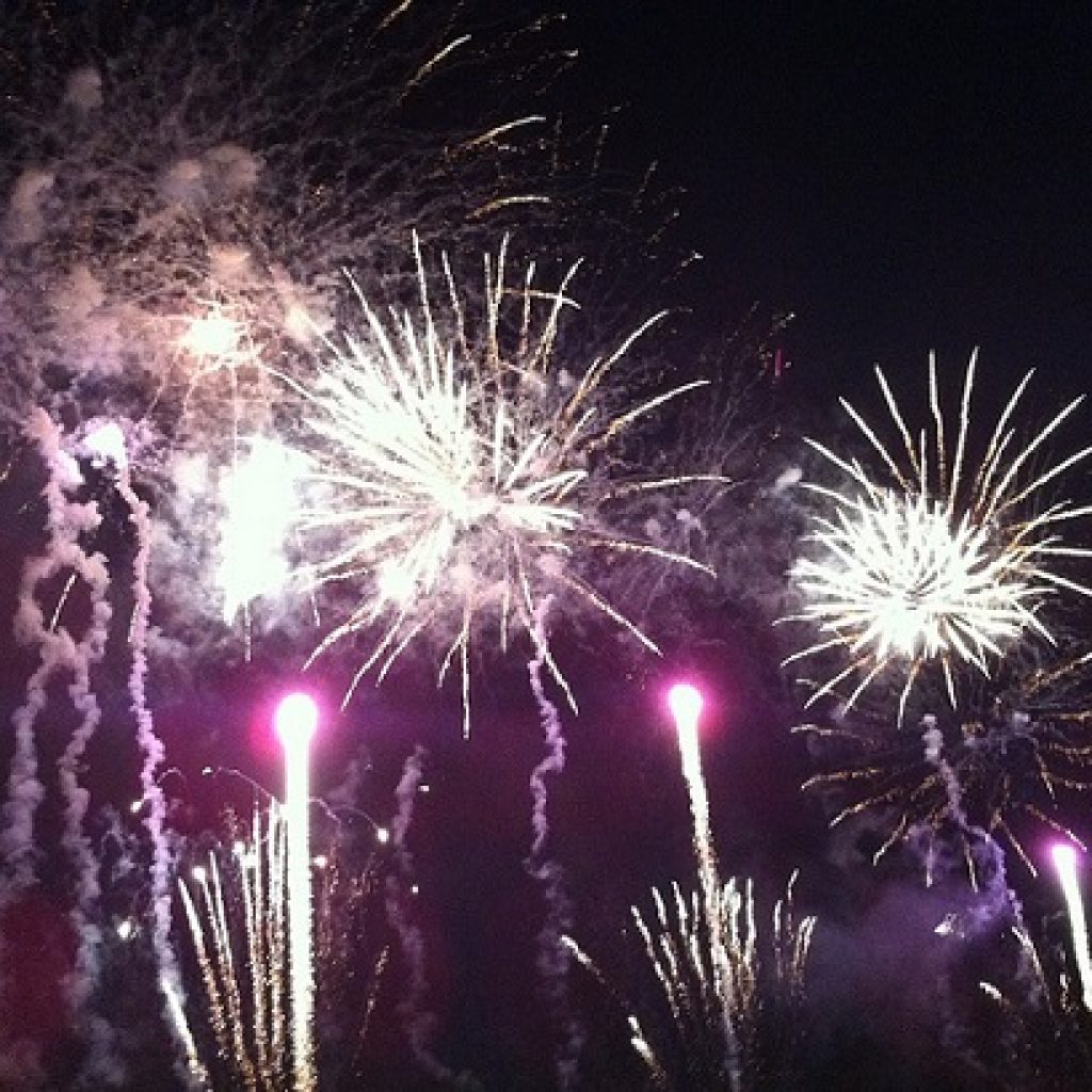 Festival Kembang Api Tamagawa - Info Wisata dan Liburan di Jepang