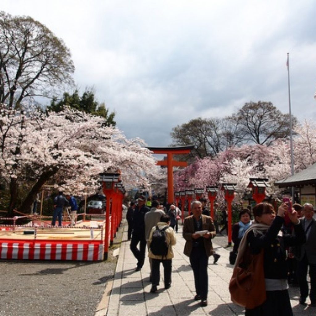 Informasi Lengkap Momiji di Kyoto - Info Wisata dan Liburan di Jepang