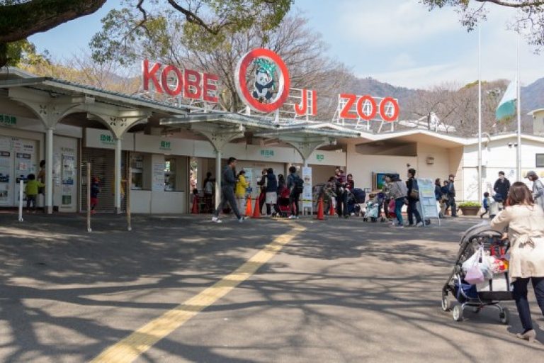 Oji Zoo Sakura 2020 - Info Wisata dan Liburan di Jepang