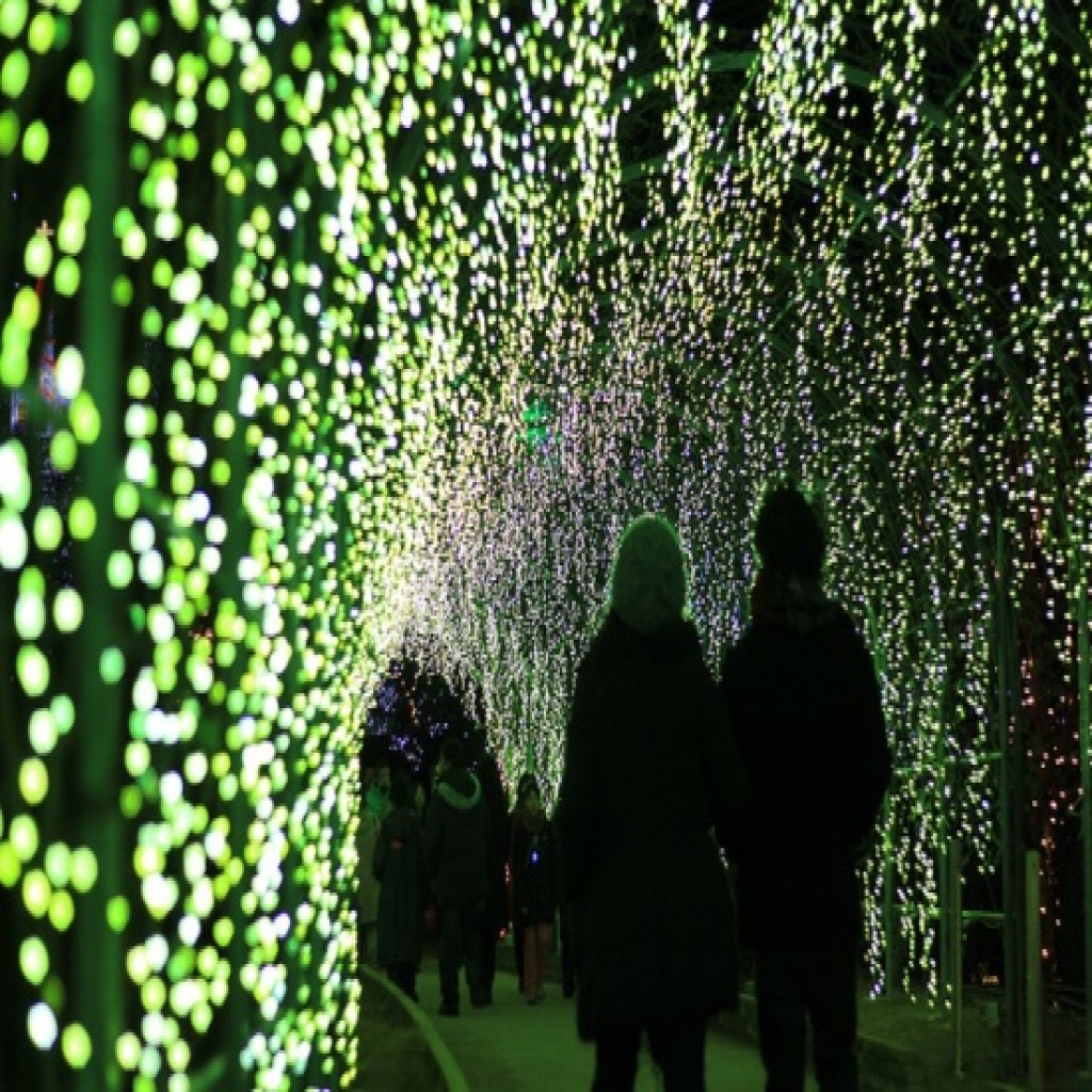 Taman Ashikaga - Info Liburan dan Wisata di Jepang