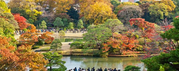 5 Taman Terindah di Tokyo - Info Liburan dan Wisata di Jepang