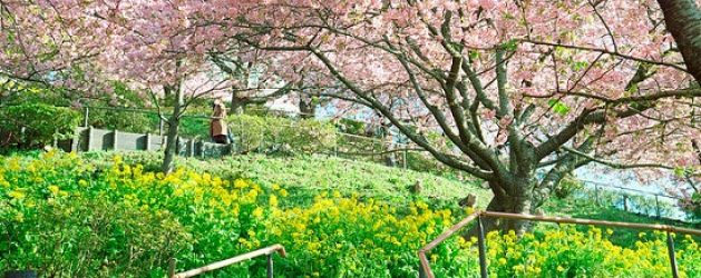 Liburan Golden Week Jepang - Info Liburan dan Wisata di Jepang
